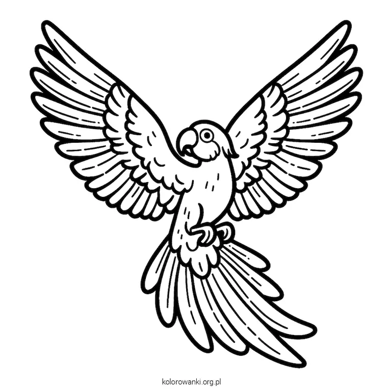 Papuga - kolorowanka do druku - Kolorowanki.org.pl