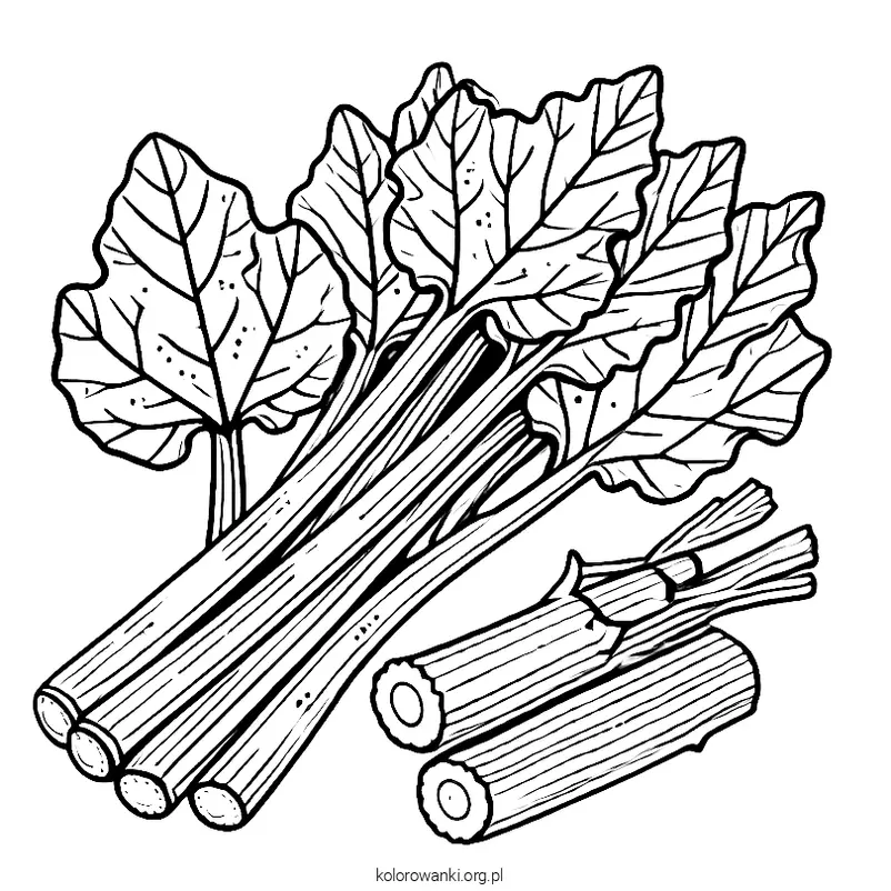 Rabarbar - kolorowanka do druku - Kolorowanki.org.pl